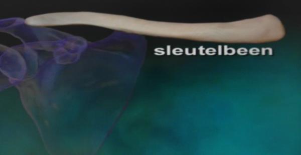 Banden e.a structuren: Verzwikking sleutelbeengewricht thv borstbeen ...